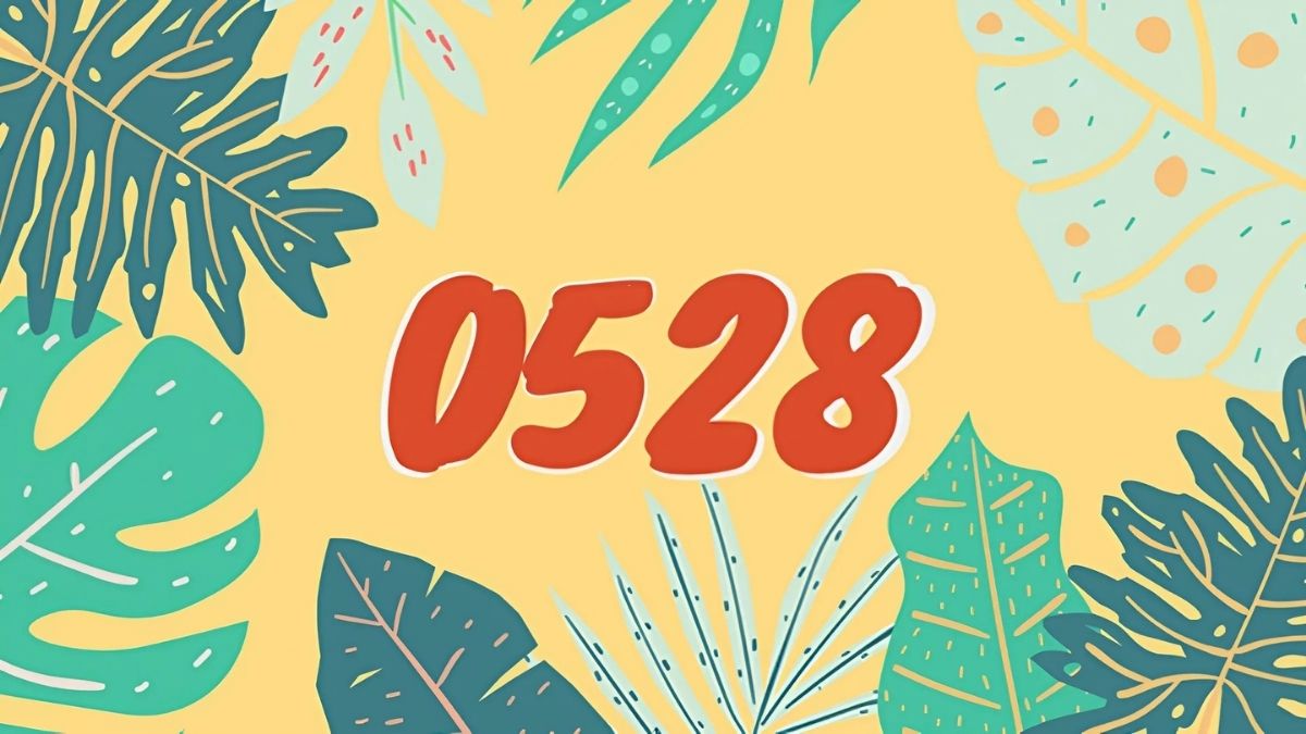 Đầu số 0528 là mạng gì? Cách mua SIM 0528 uy tín tại nhà