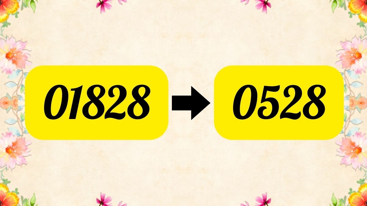 Đầu số 0528 là mạng gì? Cách mua SIM 0528 uy tín tại nhà