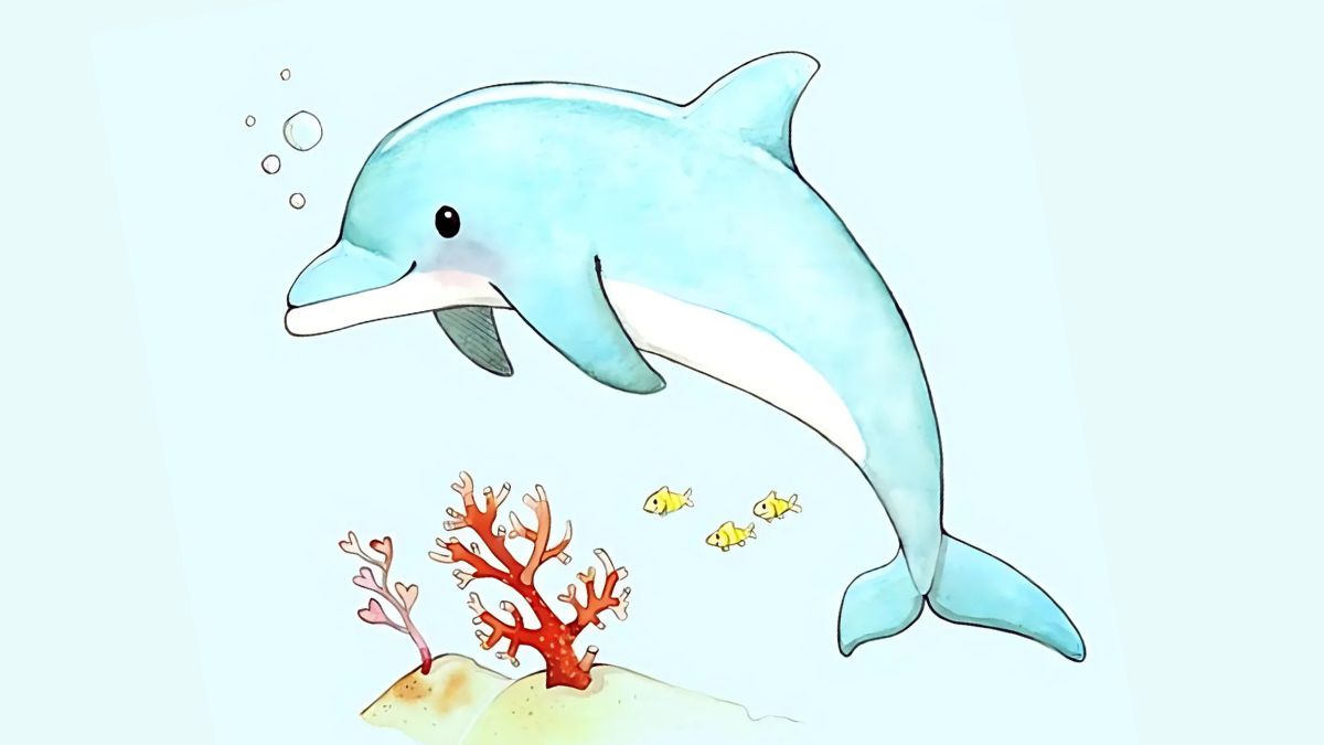 Hướng dẫn vẽ cá heo đơn giản và nhanh chóng nhất