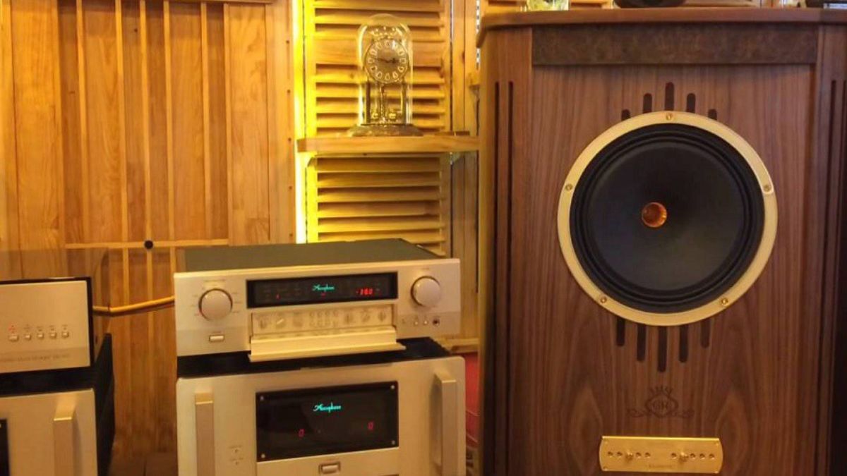 Loa đồng trục là gì? Ưu nhược điểm và có nên mua không?