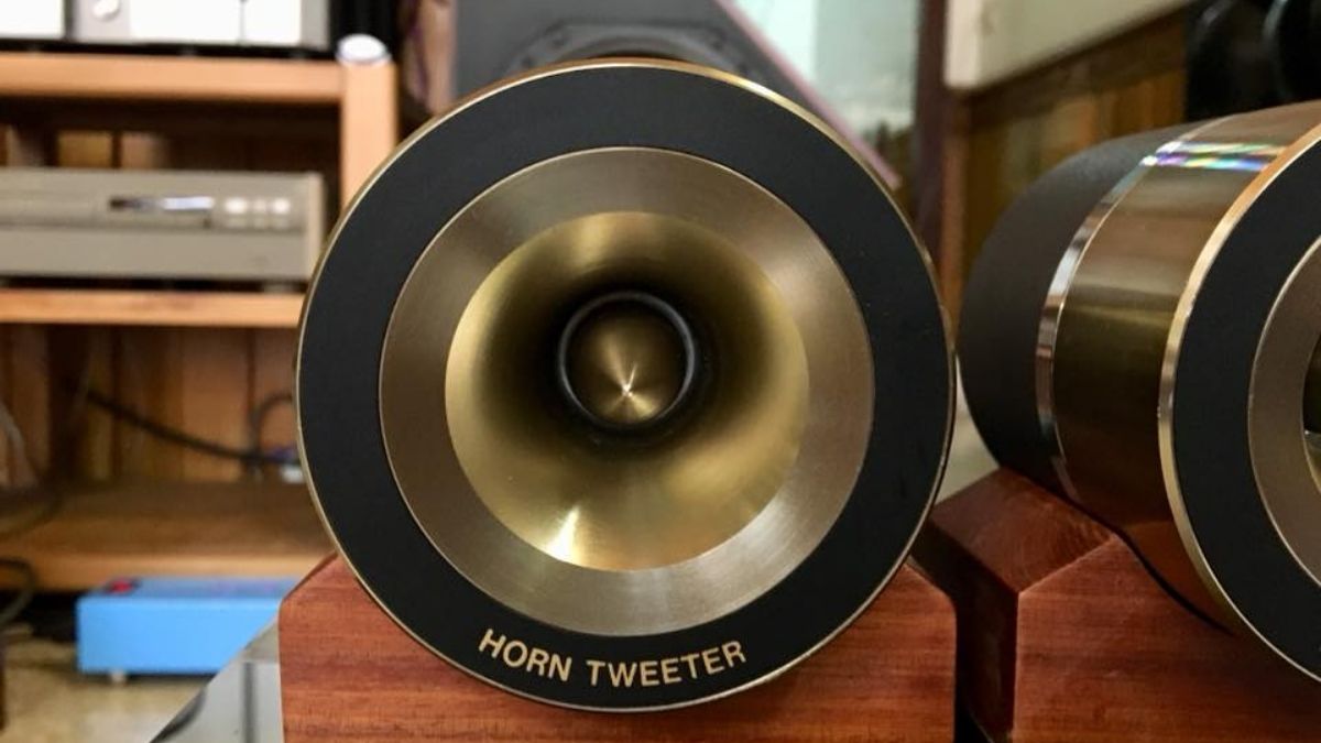Loa Tweeter là gì? Cấu tạo và vai trò của loa với âm thanh