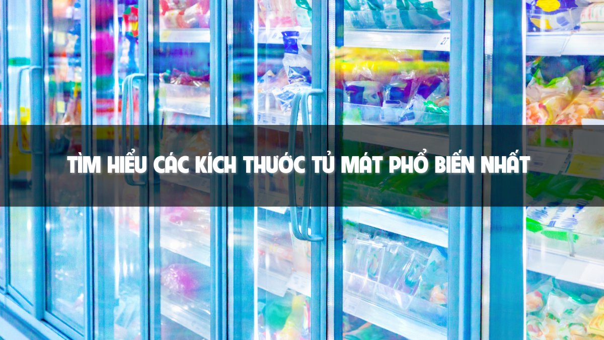 Khám phá các kích thước tủ mát phổ biến nhất năm 2025