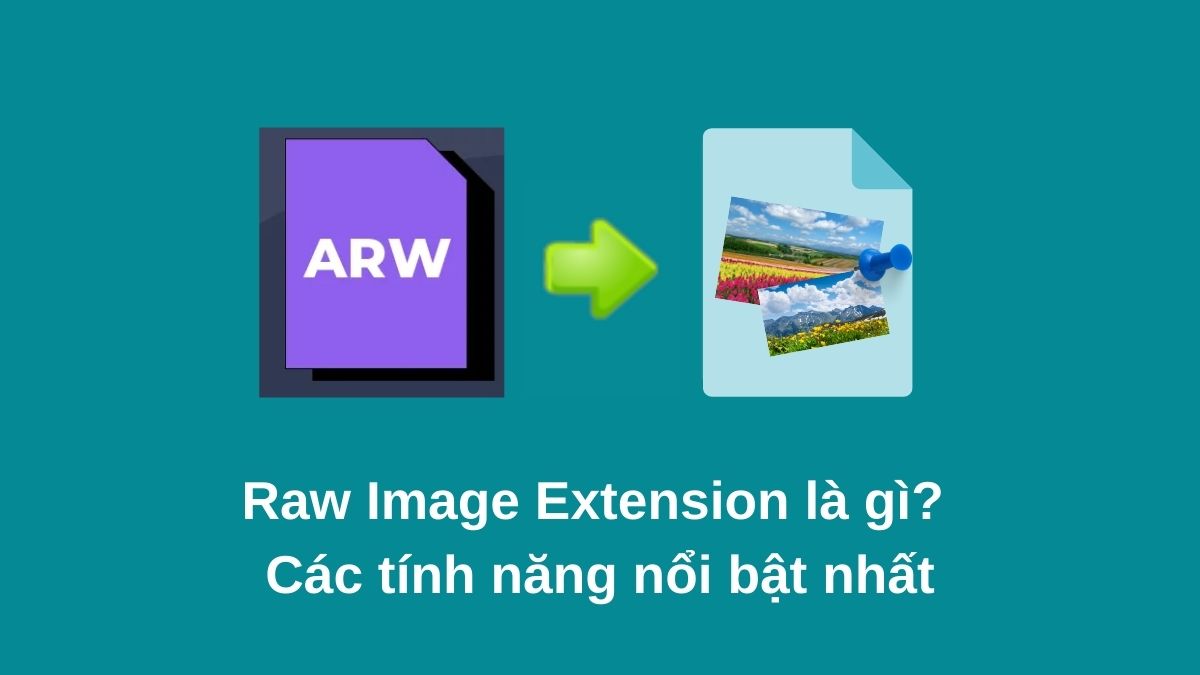 Raw Image Extension là gì? Các tính năng nổi bật nhất