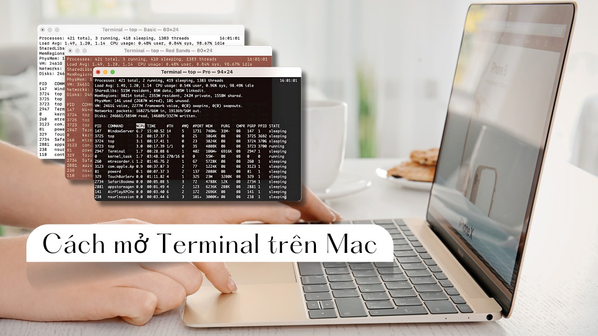 Hướng dẫn mở Terminal trên Mac cực nhanh chỉ với 3 giây