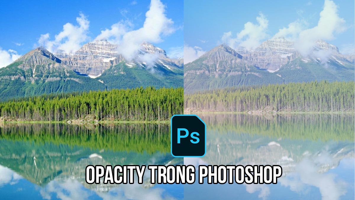 Opacity là gì? Bí quyết sử dụng từ Photoshop đến CSS