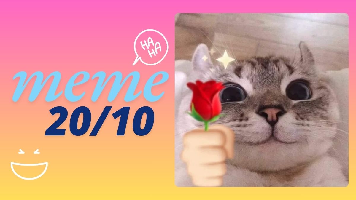 99+ meme 20/10 chúc mừng hài hước "cười té ghế"