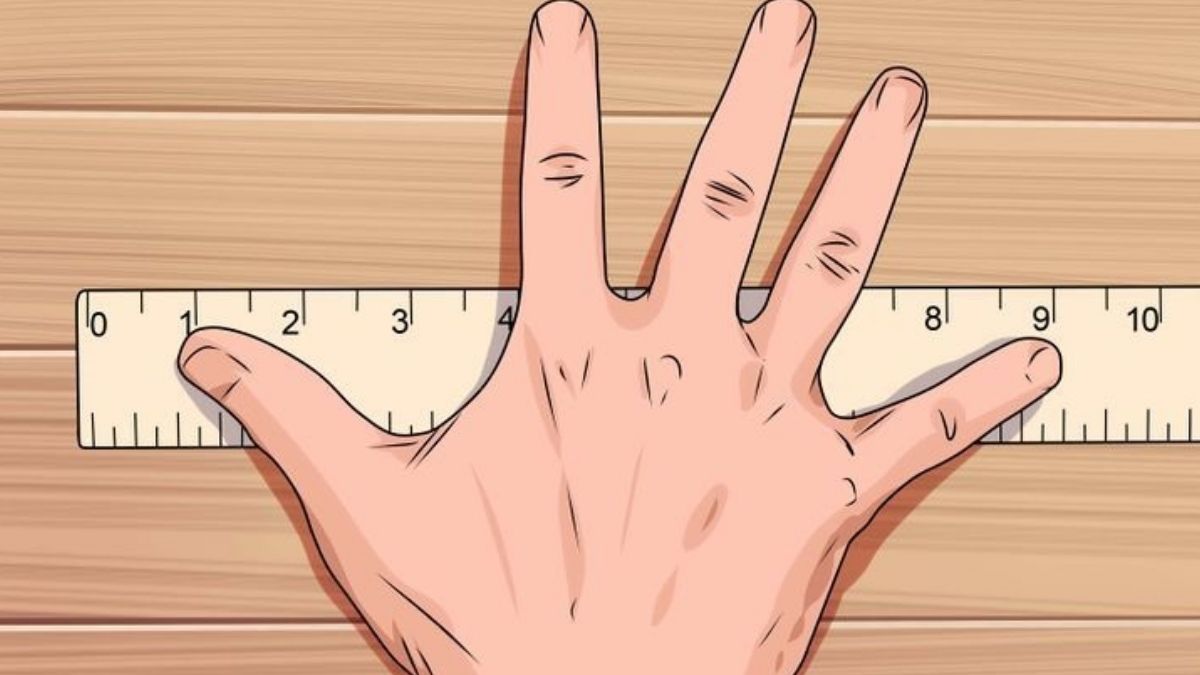 1 mẫu đất bao nhiêu m2? Hướng dẫn quy đổi đơn giản