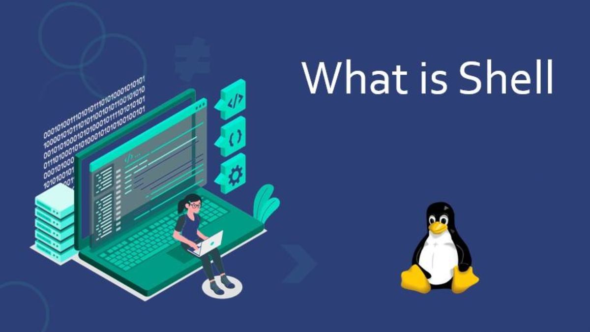 Shell là gì? Những loại Shell cơ bản hiện nay