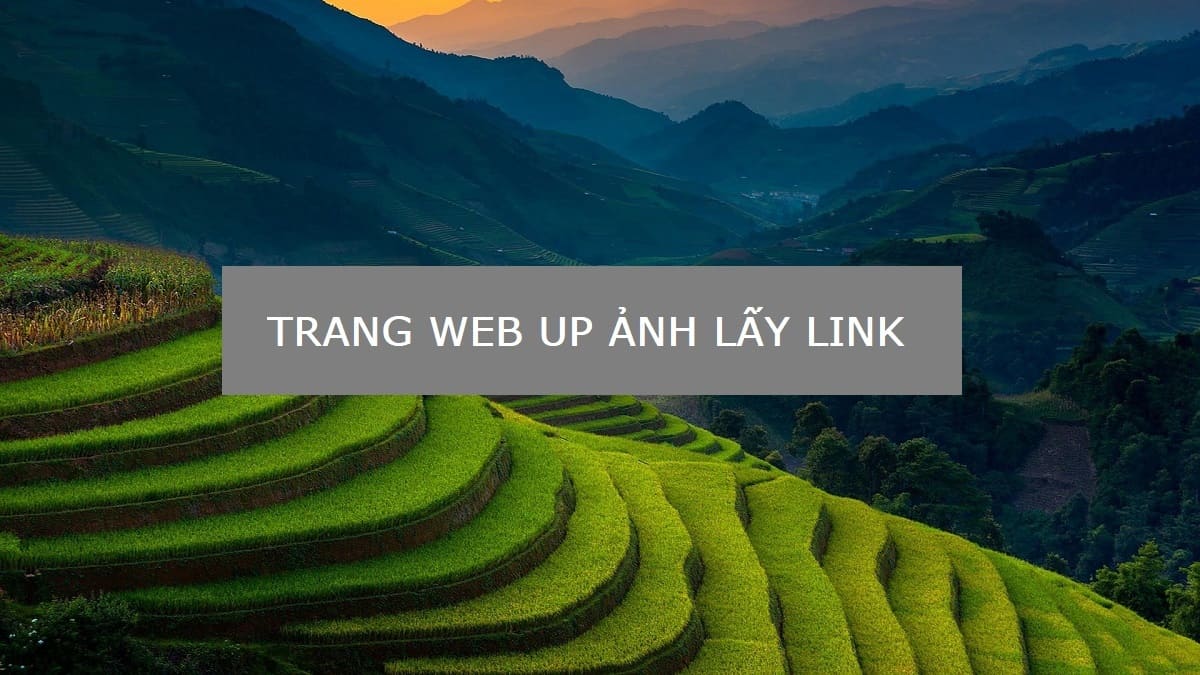 8 trang web up ảnh lấy link được dùng nhiều nhất hiện nay