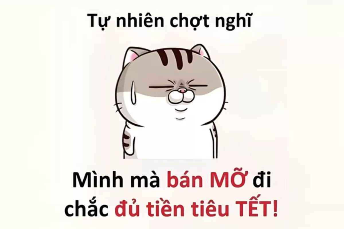 Tổng hợp 80+ meme Tết hài hước, thú vị chúc mừng năm mới