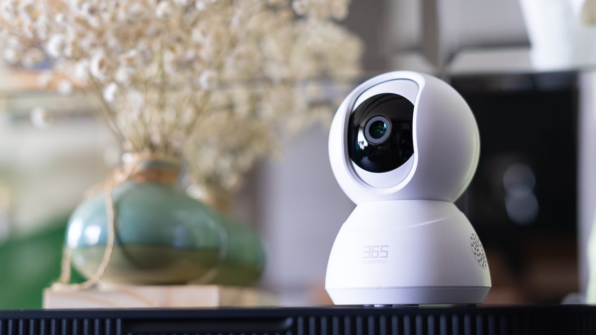 Review camera 365 Selection