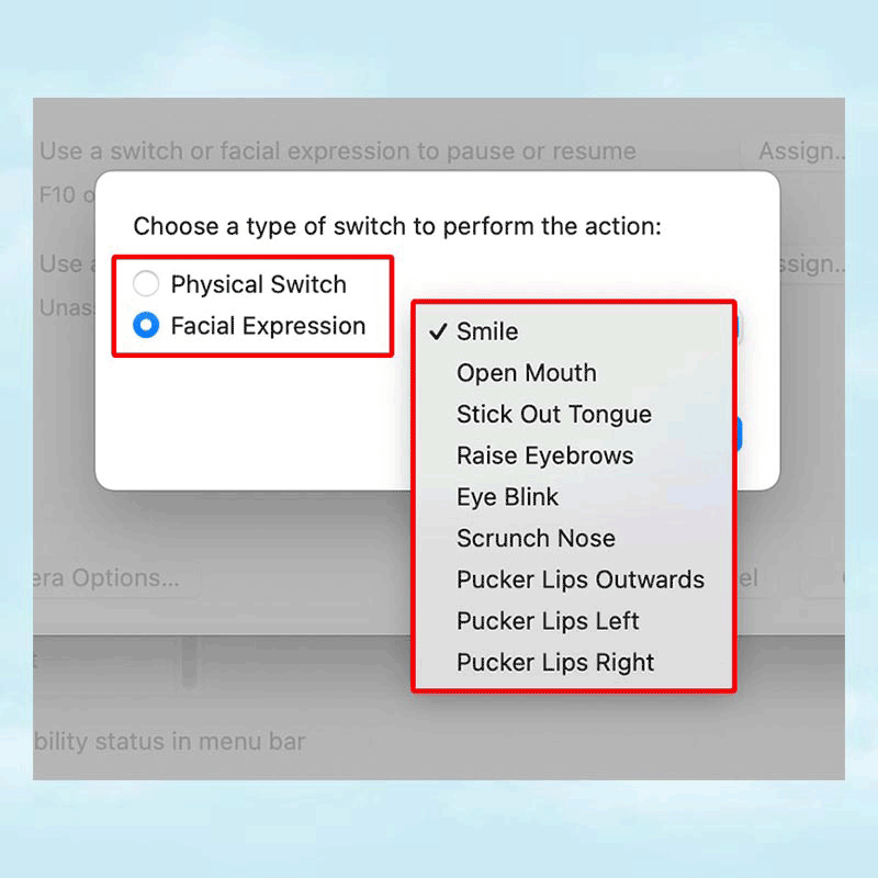 Hướng dẫn cách sử dụng tính năng Head Pointer trên MacOS