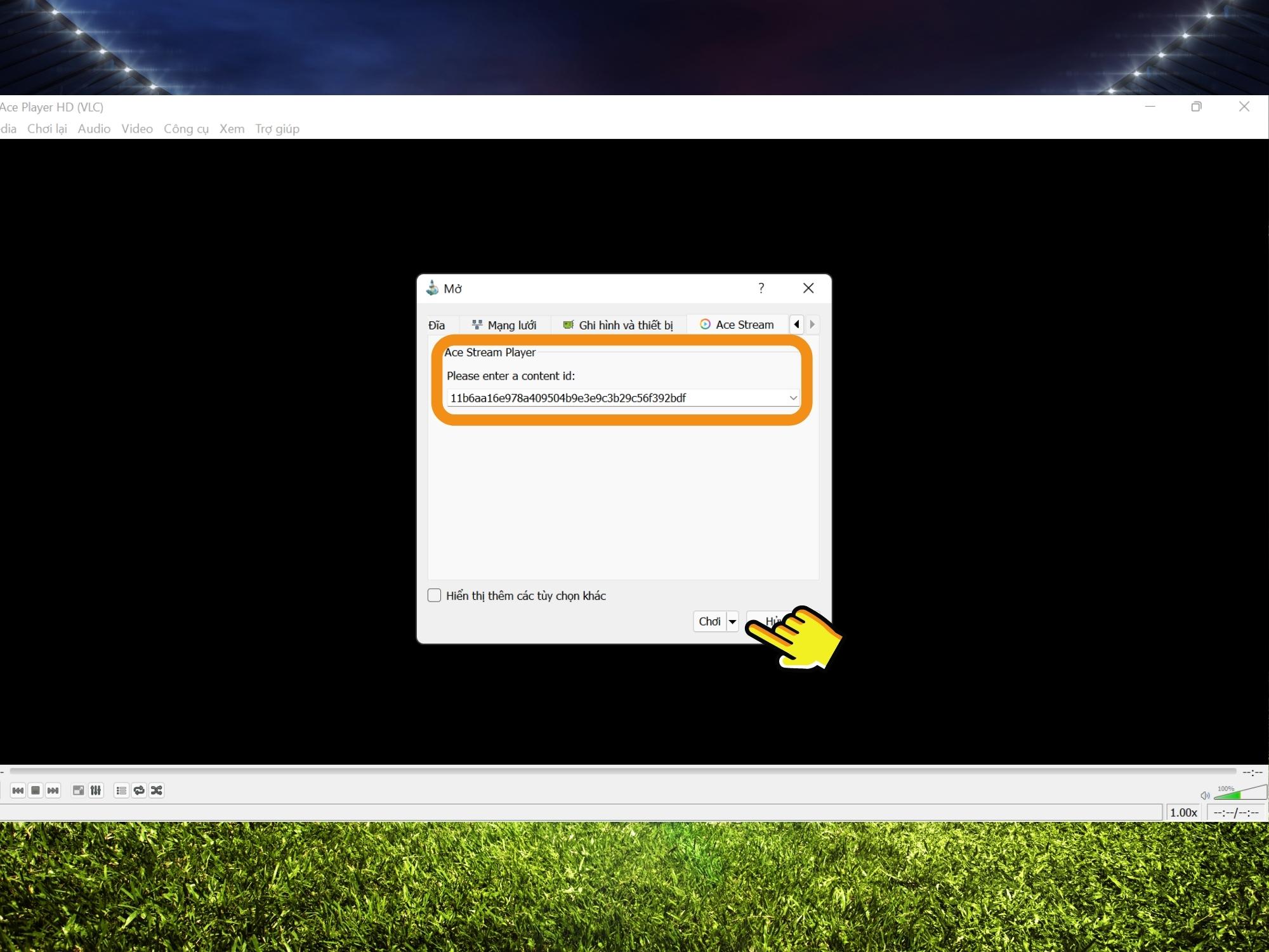 Acestream là gì? Tải và sử dụng trên điện thoại máy tính