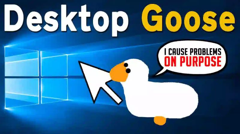 Goose Desktop | Cách cài đặt sử dụng đơn giản, nhanh chóng