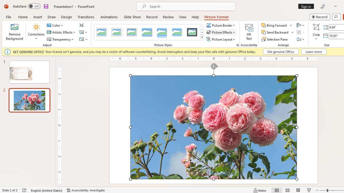 Cách làm mờ ảnh trong Powerpoint một phần và hoàn toàn hình