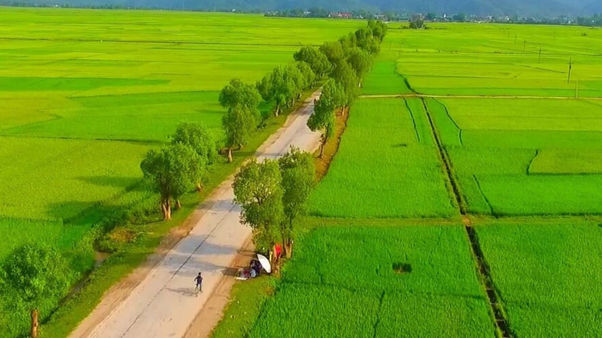 1ha bằng bao nhiêu m2? Bật mí mẹo quy đổi đơn vị ha cực dễ