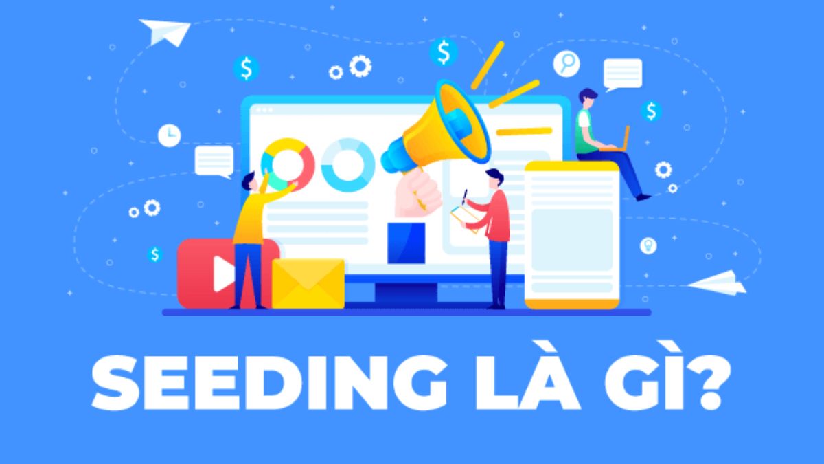 Seeding là gì? Cách triển khai seeding để đạt hiệu quả cao